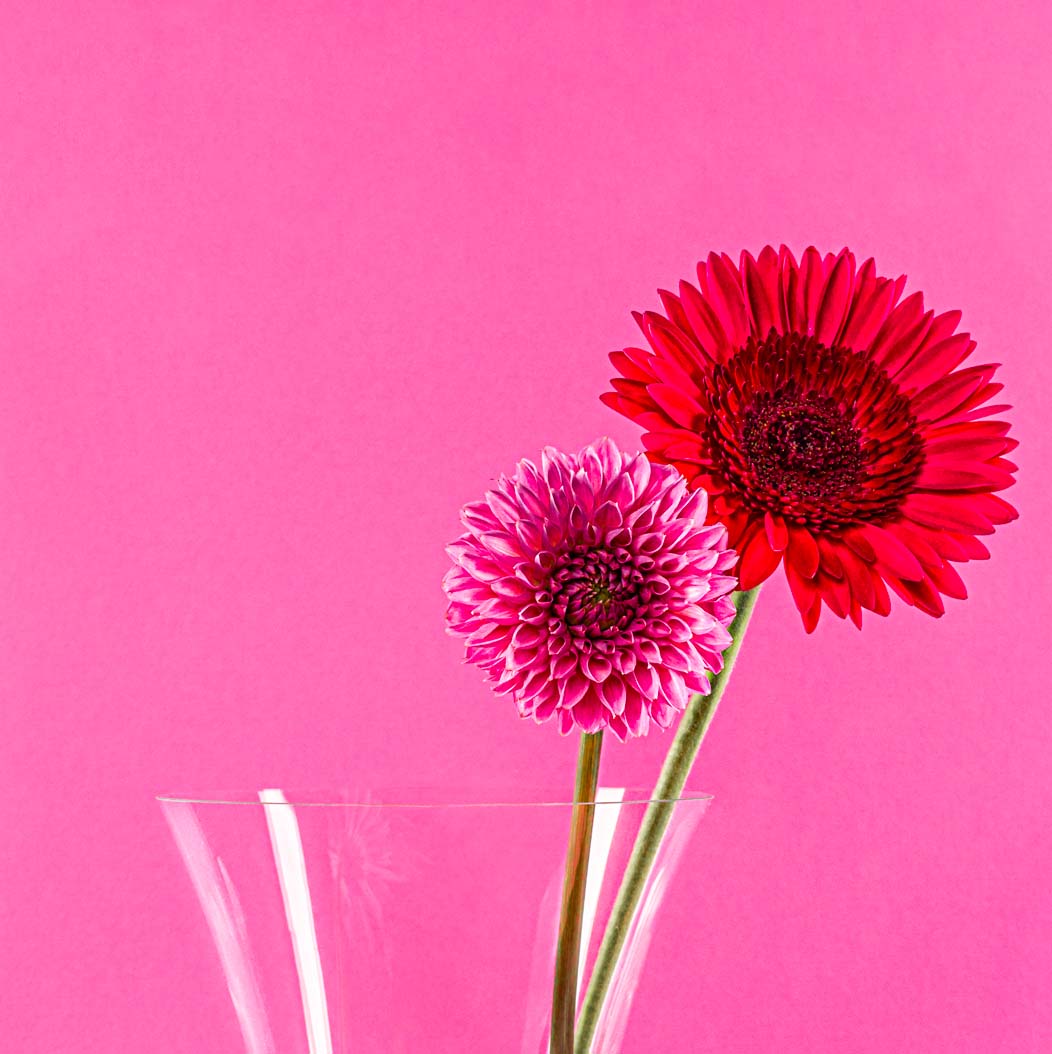 VÁZY NA KVĚTINY FLORA | VITAJUWEL CZ